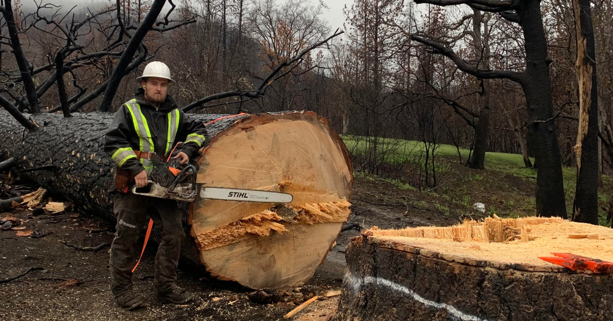 Hazard Removals in Tahoe Vista, CA & Nearby Areas | Precision Timber Works